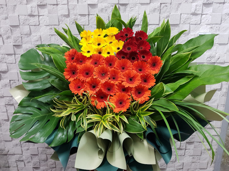 Shop Bright Charm Opening Stand - OP258 | PURE SEED