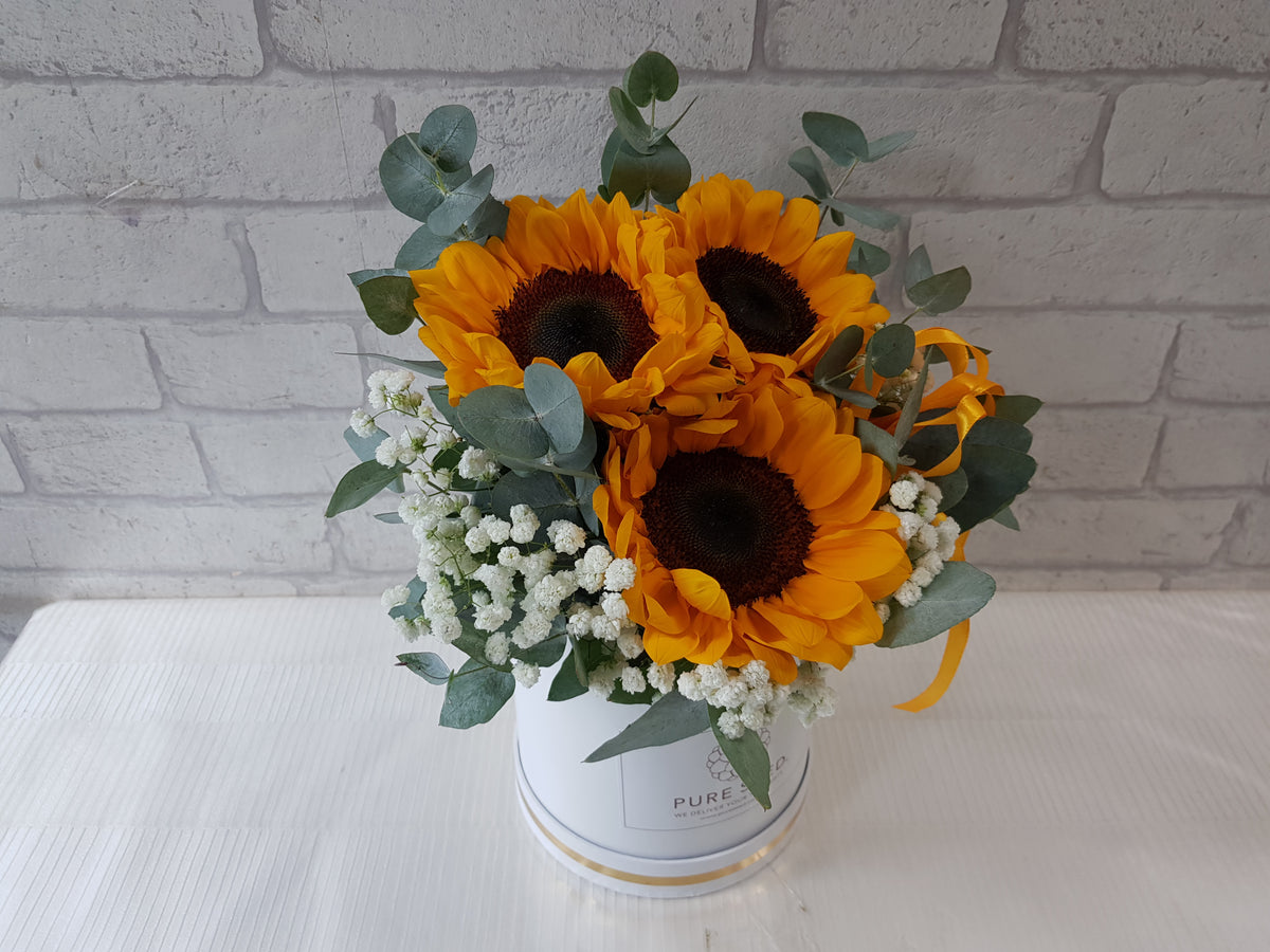 Shop Sunflower & Baby Breath Flower Box - BK104 | PURE SEED