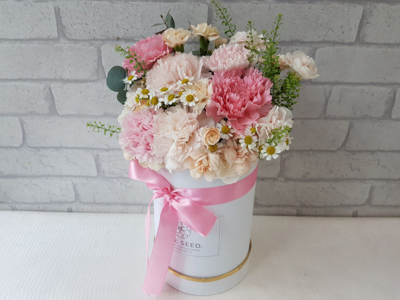 Shop Sweet Carnation Flower Box - BT045 | PURE SEED