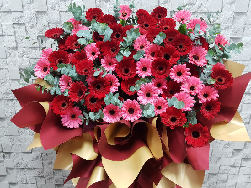 Shop Eye-Catching Opening Stand - OP275 | PURE SEED